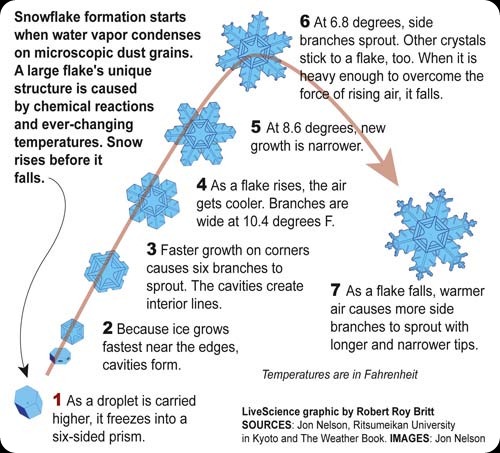 Einstein Speaks!: How do snowflakes form?
